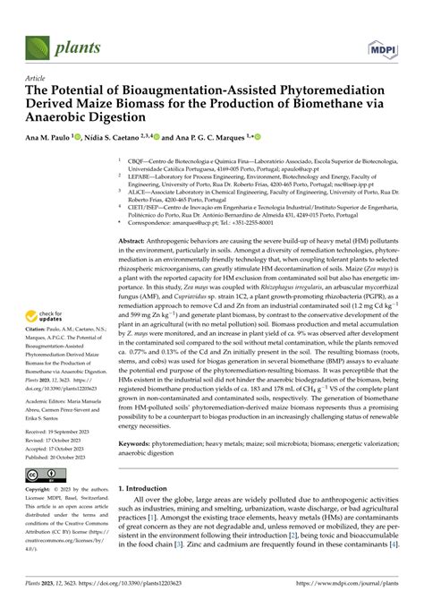 Pdf The Potential Of Bioaugmentation Assisted Phytoremediation Derived Maize Biomass For The