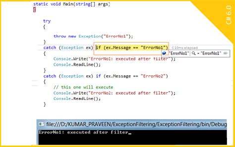 Exception Filter In C