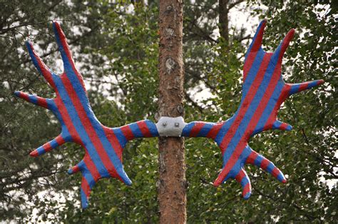 무료 이미지 나무 자연 숲 분기 하늘 빨간 공원 푸른 용 줄무늬가있는 엘크 문 노르웨이 화려한 줄무늬 우디 식물 큰 사슴 뿔 4288x2848