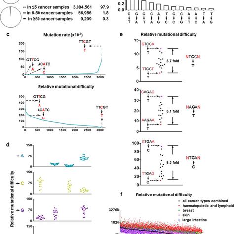Integrating Relative Mutational Difficulty To Assess The Functional