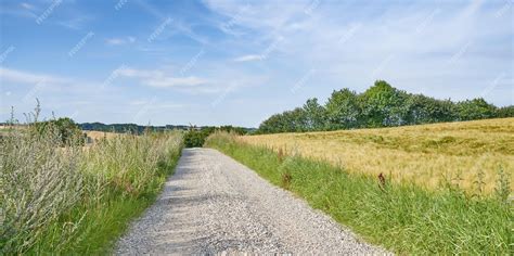Premium Photo Countryside Road And Path To Drive On Farm Forest Or