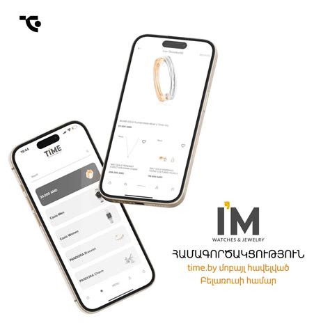 Eng ⬇️ Tco Team Software Development