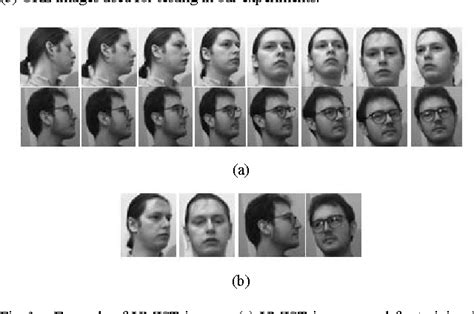 Figure 1 From Face Recognition By Regularized Lda Using Prm Semantic