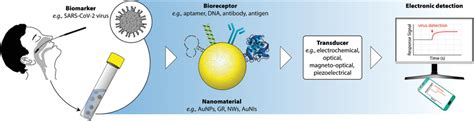 Schematic Illustration Of Nanobiosensor For Viral Detection Download Scientific Diagram