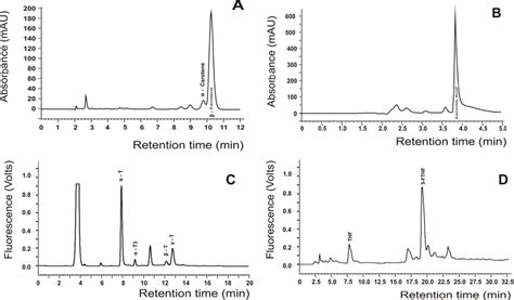 Hplc Analysis Of Carotenoids A Vitamin C B Vitamin E C And Download Scientific Diagram
