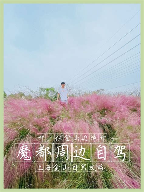 上海旅行📍魔都周边秋日周末自驾🚗开，往金山边缘开⛰️线路推荐 上海自助游攻略 马蜂窝