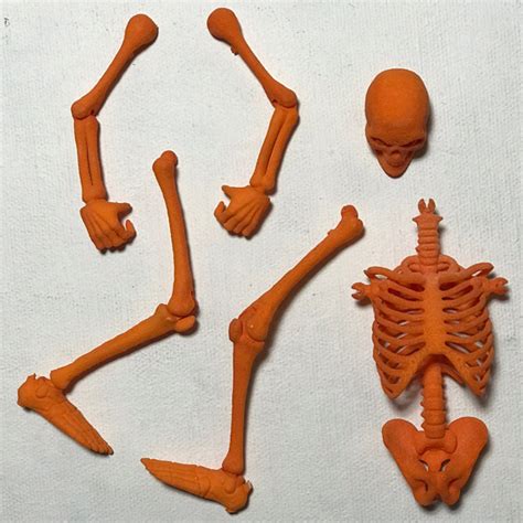 Articulated Human Model 3d