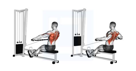 Inverted Row Guide Benefits And Form