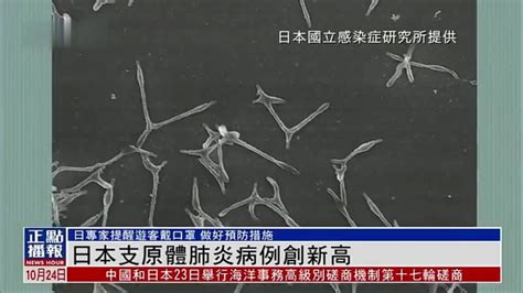 日本支原体肺炎病例创新高凤凰网视频凤凰网