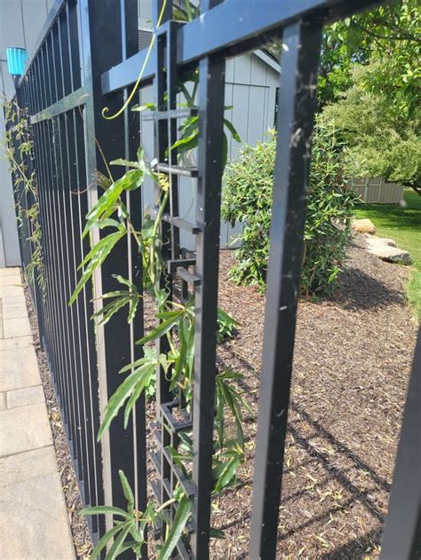 Modular Trellis R Functionalprint