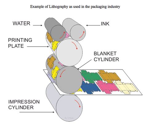 Print Processes Offset Lithography Dc