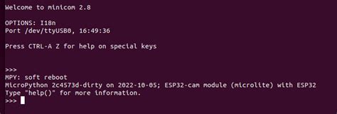 ESP32 Goes On A Continuous Printing Loop After Firmware For ESP32 Is
