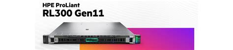 Hpe Proliant Rl300 Gen11 Dnscz