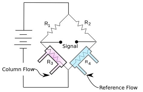 What Is The Difference Between FID And TCD Detector Pediaa Com