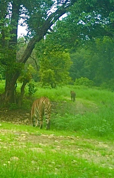 Saket Badola On Linkedin Rajaji