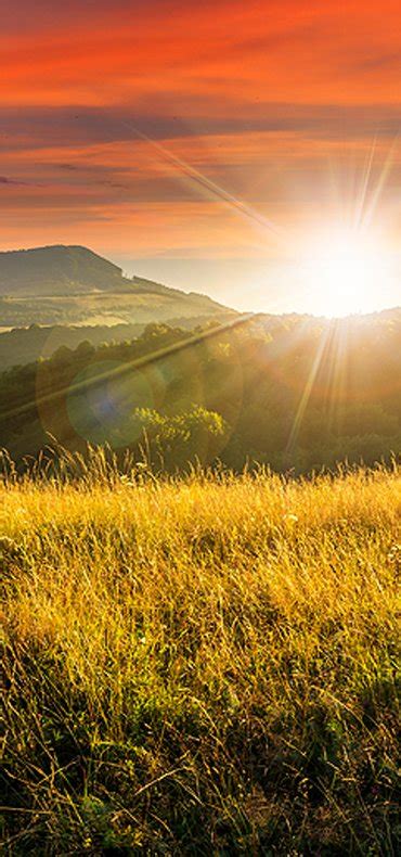 Weaving Heart Stories Together Eremos