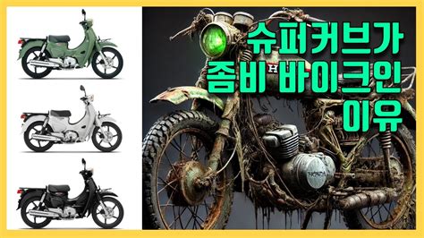 슈퍼커브 극악 실험 영상 이래도 살아날수 있을까 L 슈퍼커브 이야기 조리남jrn Youtube