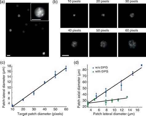 All Optical Bidirectional Neural Interfacing Using Hybrid Multiphoton
