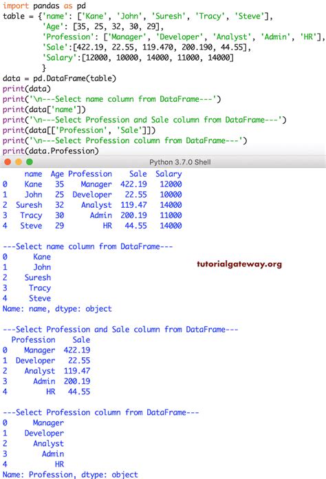 Python Pandas DataFrame