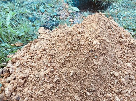 Какой грунт лучше для поднятия участка Грунтовозов Дзен