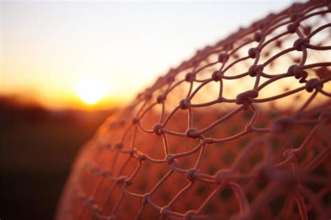 Premium Photo Woven Wire Mesh With Dewdrops At Sunrise
