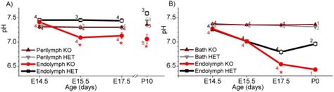 A Measurements Of The Endolymphatic And Perilymphatic Ph In The Download Scientific Diagram