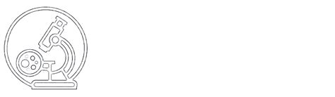 곰팡이의 진심 곰팡이연구소