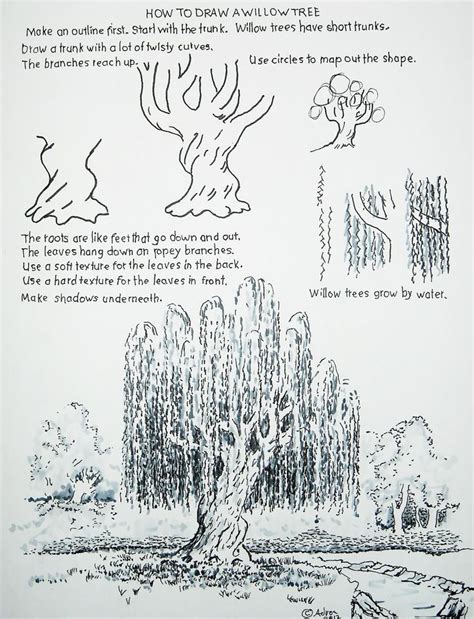 How To Draw A Willow Tree Realistic Drawings Tree Drawing Drawings