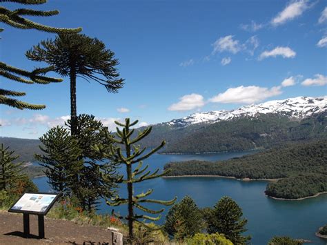 Conguillio National Park Chile