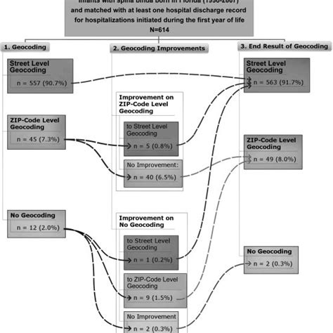 Flowchart Of The Two Steps Performed For The Geocoding Procedure For