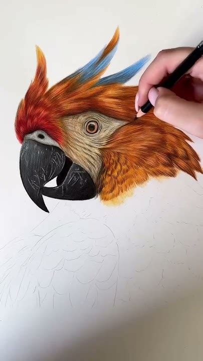 تکنیک جذاب مداد رنگی Painting Art رسم Painting Youtube