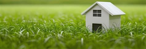 Premium Photo Environmental Conservation Hd 8k Wallpaper Stock