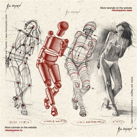 Instagram Grafica Con Anatomia Umana Disegno Di Anatomia Disegno Di