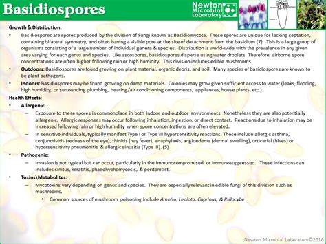 Basidiospores Newton Microbial Laboratory