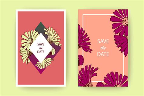 손으로 그린 국화 꽃 인사말 카드 예술 벡터 일러스트 식물 결혼식 장식 보라색으로 칠해진 꽃잎 플로럴 트렌디 한 패턴 배경 디자인 배너 포스터 산호색 결혼식에 대한 스톡