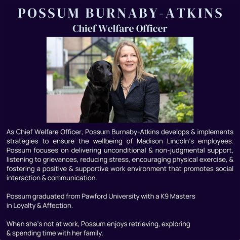 Emma Flack On Linkedin Im Definitely Possums Favourite