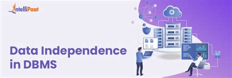 Data Independence In Dbms Physical And Logical Level Explained