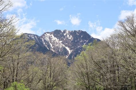 新緑とニリンソウの帰り道5月16日上高地BT徳沢上高地BT 山あり花あり