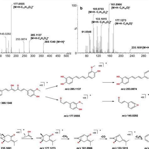 Mass Spectra For The Proposed Fragmentation Pathways Of Curcumin A C