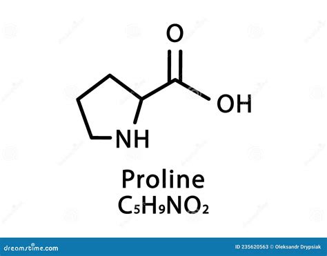 Proline Molecular Structure Proline Skeletal Chemical Formula