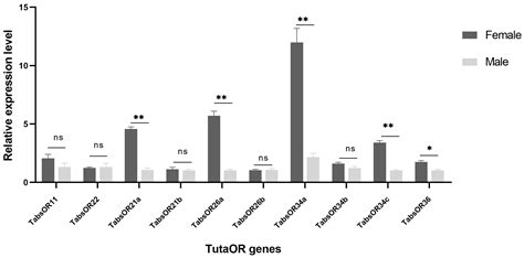 Genome Wide Identification Evolution And Female Biased Expression