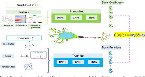 Figure From Physics Informed Deep Neural Operator Networks Semantic Scholar