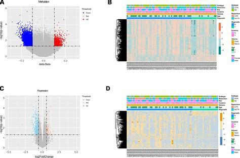 Differential Analyses Of Gene Methylation And Expression Status Between Download Scientific