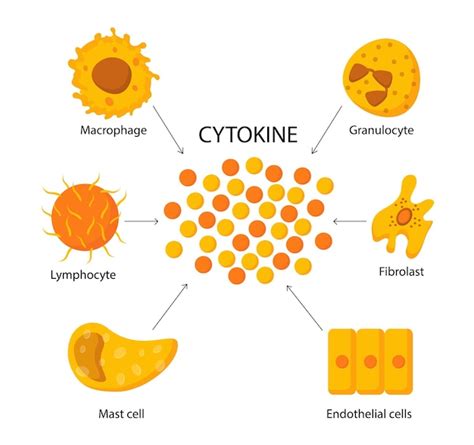 Conceito De Estrutura De Citocinas Reações Químicas E Materiais