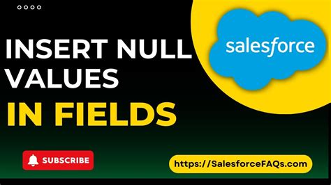 Insert Null Values In Salesforce Object Fields Add Blank Values To