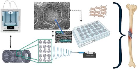 Polycaprolactone Polylactic Acid And Nanohydroxyapatite Scaffolds Obtained By Electrospinning