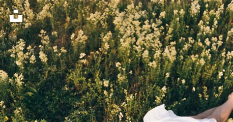 낮 동안 푸른 잔디밭에 누워 있는 하얀 드레스를 입은 여자 사진 Unsplash의 무료 꽃 이미지