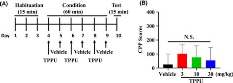 Lack Of Rewarding Effects Of Tppu In Mice A Schedule Of Cpp Paradigm