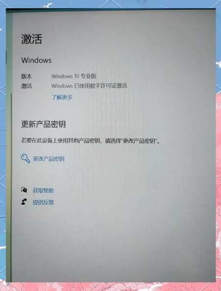 Windows 11产品密钥在哪购买？如何获取正版授权？ 4425教程网