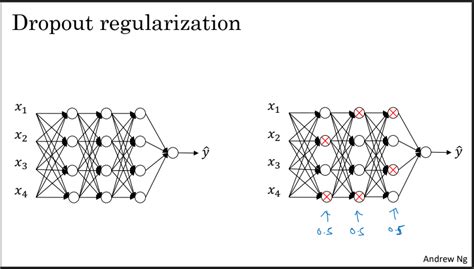 dropout regularization in seo
